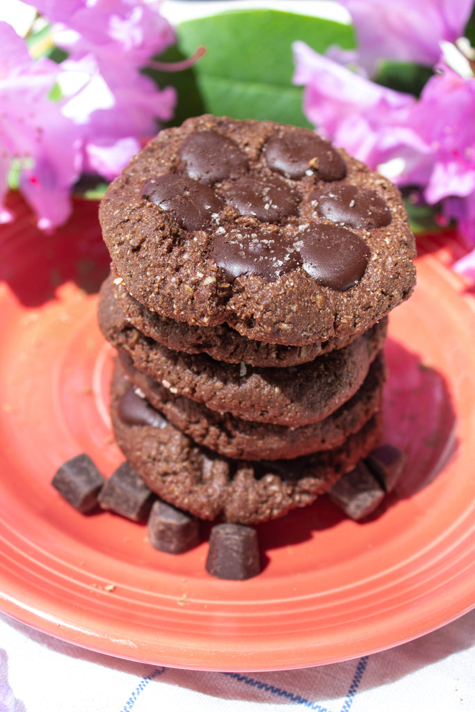 Nourishing Cacao Double Chocolate Cookies – Salvarae